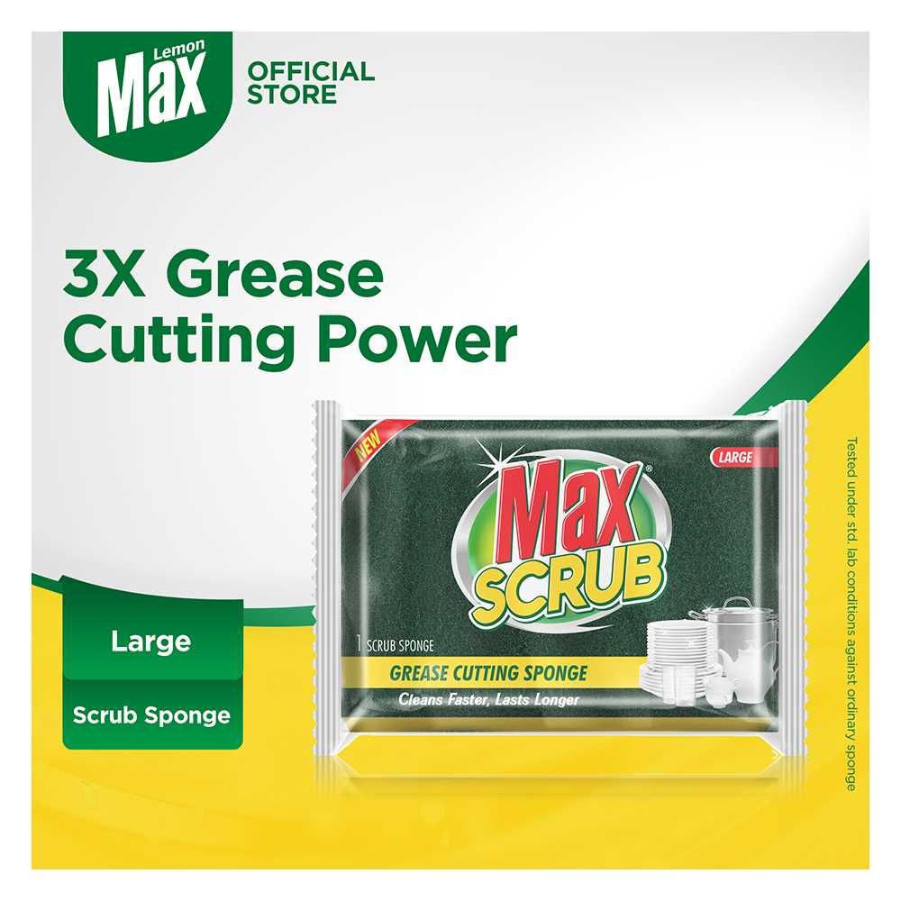 Buy Max Scrub With Sponge, Large, 1 Count Online in Pakistan ...