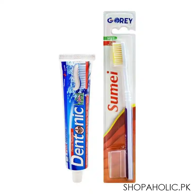 Buy Dentonic Fluoride Toothpaste, 125g Price in Pakistan – Shopaholic.pk