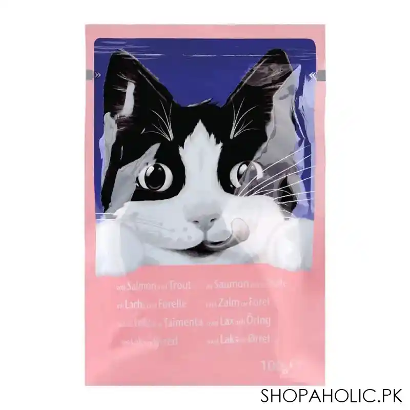 Buy Felix Salmon And Trout Cat Food, 100g, Pouch in Pakistan ...