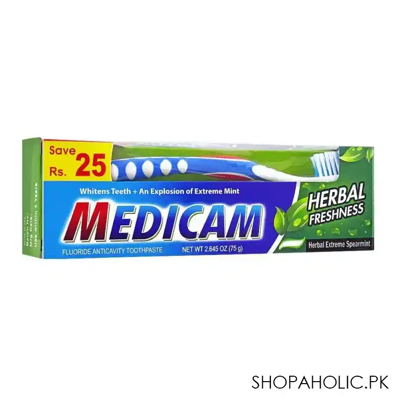 Medicam Herbal Freshness Toothpaste, 75g + Toothbrush Free – Shopaholic.pk
