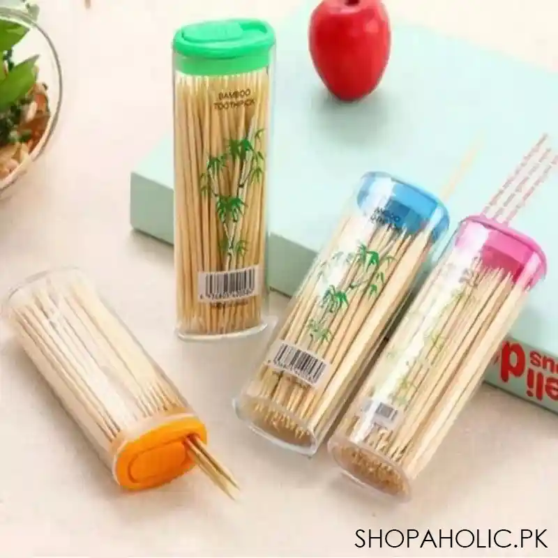 Buy Pack Of 2 Disposable Wood Toothpicks Price in Pakistan – Shopaholic.pk
