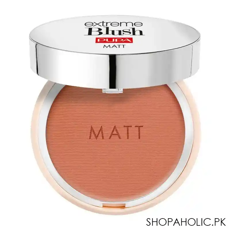 Buy Pupa Milano Extreme Blush Matt, 002 Price in Pakistan – Shopaholic.pk