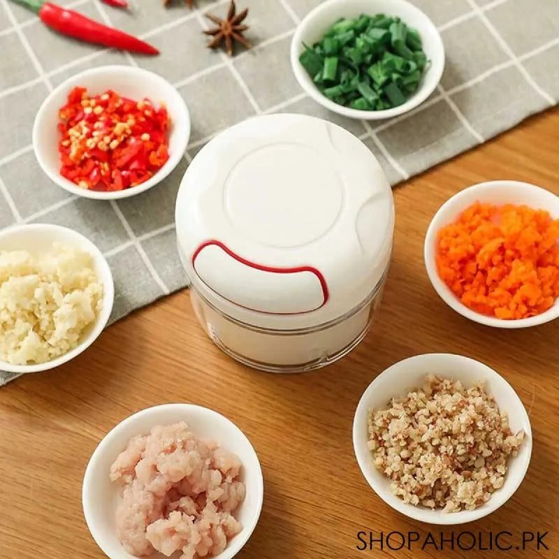 Buy Mini Food Chopper at Best Price in Pakistan Shopaholic